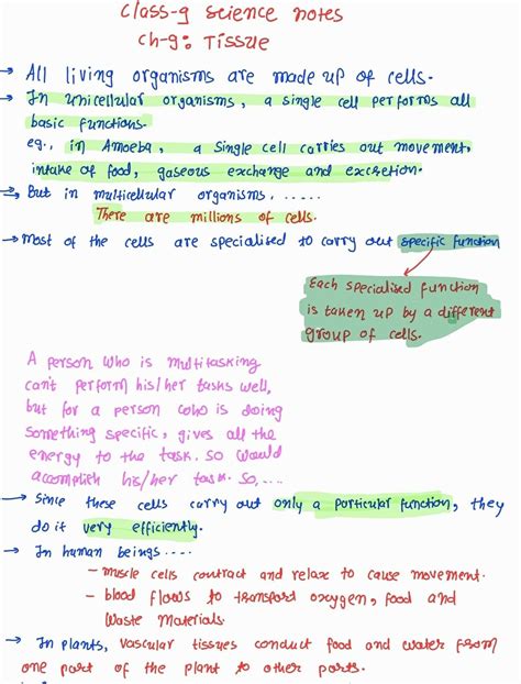 Class 9 Ncert Science Chapter 6 Tissues Part 1 Science Notes