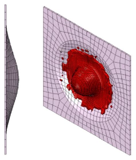 Validation Of Bird Impactor Models Impact On Flexible Metallic Plate Download Scientific