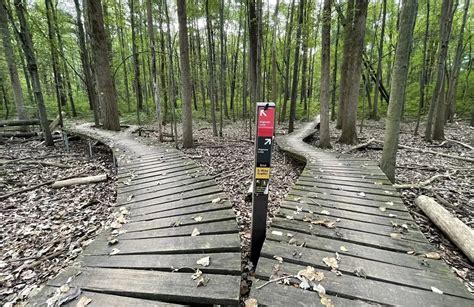 10 Best Hikes And Trails In Oak Openings Preserve Metropark Alltrails