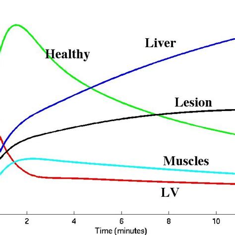 An Example Of The Time Activity Curves Tac Used In Teboroxime Dmcat Download Scientific