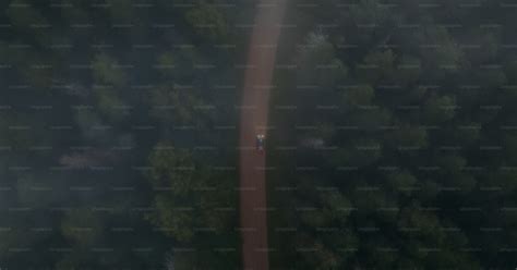 숲 한가운데에 있는 도로의 조감도 사진 Unsplash의 자연 이미지