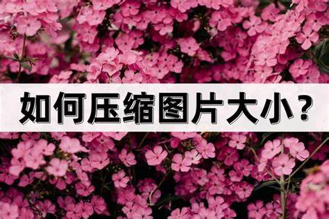 如何压缩图片大小？分享几种压缩方法 哔哩哔哩