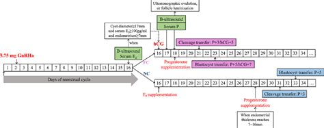 Figure 2 From Hcg Trigger Of Gnrh Agonist Induced Functional Ovarian