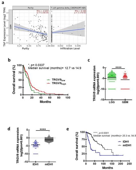 Transcriptomic Meta Analysis A Correlation Of Tnf α Expression With