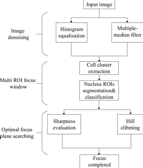 Flow Chart Of The Multi Roi Based Focusing Method Download Scientific