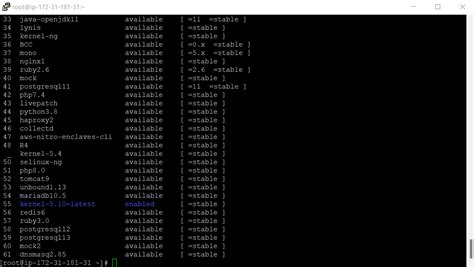 วิธีการเปลี่ยน Php เวอร์ชั่นด้วย Amazon Linux Extras Developersio