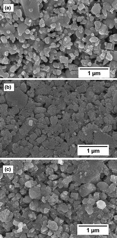 Sem Micrographs Of Mn And Cu Co Doped Knn Ceramics Showing