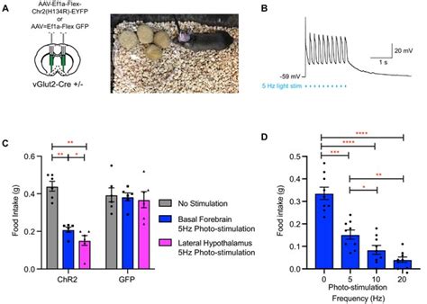 Figures And Data In Sensory Perception Drives Food Avoidance Through