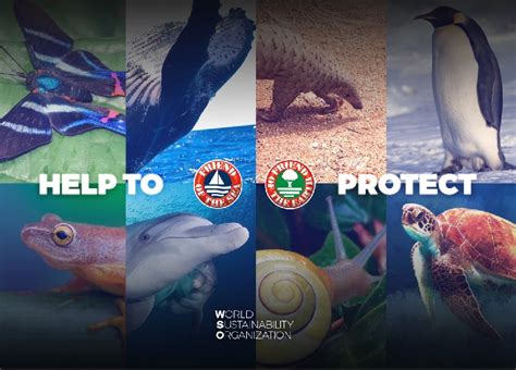 Things We Can Do To Save Endangered Species And Prevent A New Wave