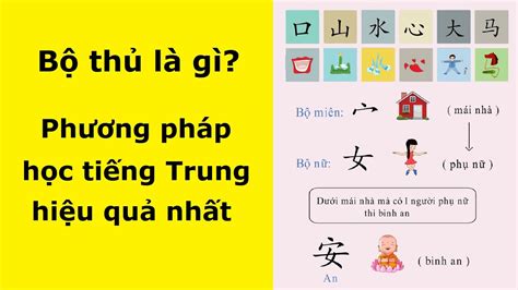 214 Bộ Thủ Tiếng Trung Bộ Thủ Là Gì Phương Pháp Học Chữ Hán Hiệu Quả