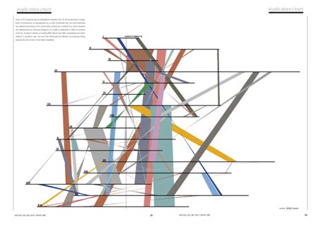 Duplication Chart