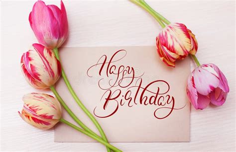 红色郁金香花束在白色背景的与文本生日快乐 书法字法 库存照片 图片 包括有 叶子 本质 母亲 行军 81341390