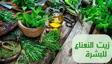 زيت النعناع للبشرة، 6 ماسكات بزيت النعناع البشرة