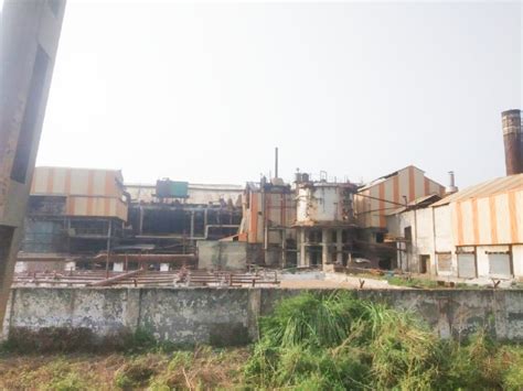 Sugarcane Farmer Filling The Online Declaration Form For Has Now Extended Till October 20