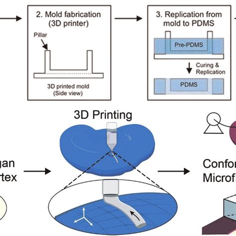 Integration Of Microfluidic Devices With 3d Bioprinted Organ On A Chip