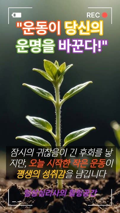🌟 운동이 운명을 바꾼다 근데 운동하기 너무 싫어요 임상심리사가 전하는 마음의 치유법 🌟 긍정적마인드 동기부여 긍정의한줄 긍정의말 명언 힐링명언 긍정