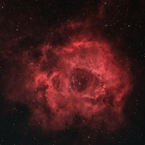 The Rosette Nebula Rastrophotography