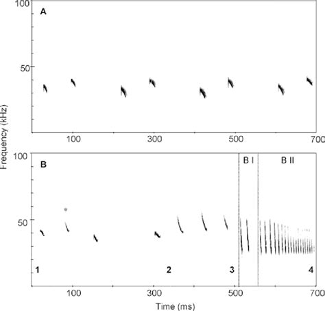 A B Sonogram Of Echolocation Calls Emitted By M Molossus During Download Scientific Diagram