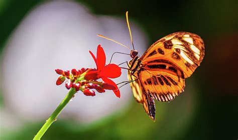 Enjoy Photograph By Yashan Zhang Fine Art America