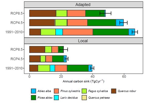 Assisted Tree Migration Can Preserve The European Forest Carbon Sink