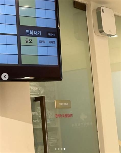 목줄 풀린 개에 수차례 물려 쇼크로 심정지김준희 반려견 개물림 사고 당해