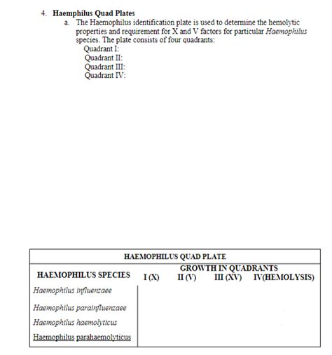 Haemophilus Lab Diagram Quizlet