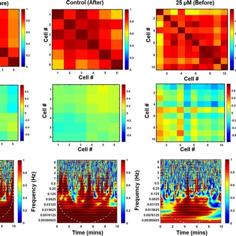 representative plots of coherence matrices phase matrices and