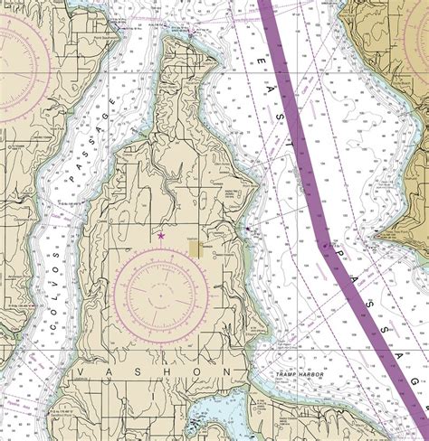 Nautical Charts Of Puget Sound Shilshole Bay To Commencement Etsy