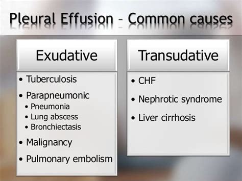 Pleural Effusion Causes
