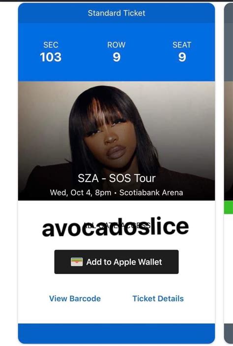 1 Ticket To Sza Toronto R Concerts