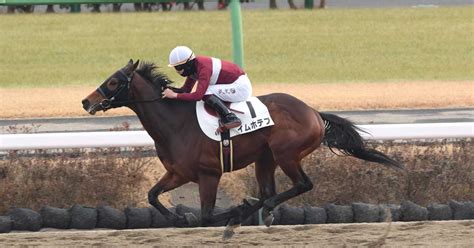 【3歳新馬・中山4r】イムホテプが圧巻の9馬身差v 横山武史騎手「癖もないですし、これから楽しみ」 サンスポzbat