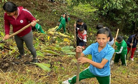 Elegidos Los 10 Mejores Proyectos Ambientales Escolares Prae 2023 La