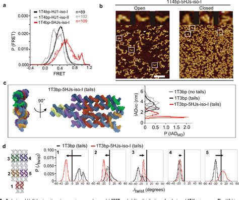 Figure 3 From Rational Design Of Dna Actuated Enzyme Nanoreactors Guided By Single Molecule