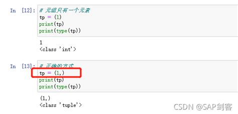 【学习笔记】13、标准数据类型—元组sap的元组 Csdn博客