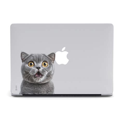 Surprised Kitty Case X