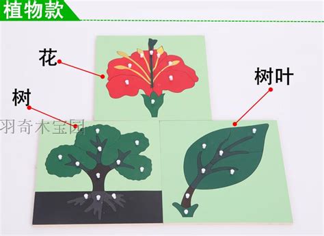 树嵌板教具目的 船的嵌板 蒙台梭利具 第11页 大山谷图库