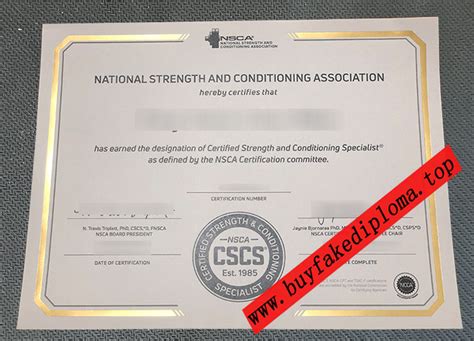 Buy A Cscs Nsca Certificate Order A Cscs Certificate Buy Diploma Online Buy Degree And