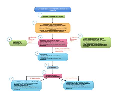 Algoritmo Svb Adultos Pdf Reanimación Cardiopulmonar Servicios De Emergencia