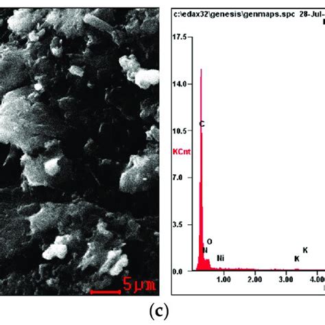 Scanning Electron Microscopy With Energy Dispersive X Ray Spectroscopy