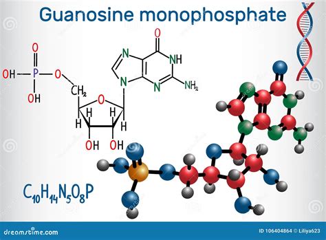 Guanosine Purine Nucleoside Molecule Important Component Of Gtp Gdp
