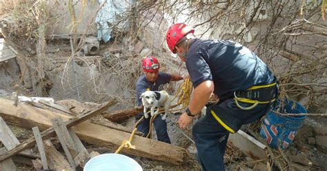 Digital Informativa Rescatan A Perrito Que Cayó A Un Pozo De 15