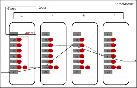 An Example Of Genetic Encoding Download Scientific Diagram