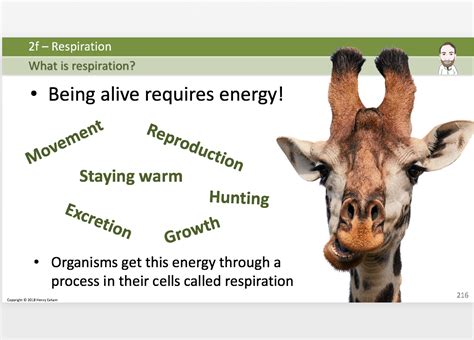 Section 1 And 2 Presentation Bundle Igcse 9 1 Biology