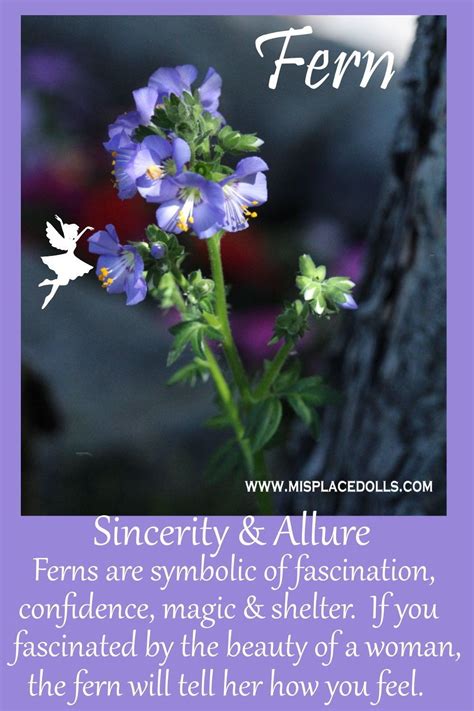 The Fern Language Of Flowers Flower Meanings Flower Essences