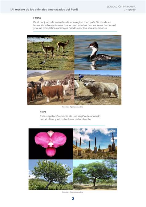 Conocemos a los animales amenazados del Perú PDF Descarga Gratuita
