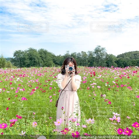 コスモス畑でカメラを構える女性の写真・画像素材 6133720 Snapmart（スナップマート）