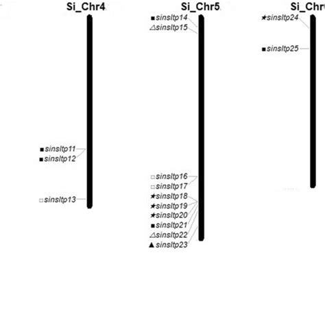 Chromosomal Localizations Of Nsltps From Foxtail Millet The Scale