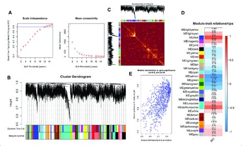Key Findings From The Module Trait Correlations Analyses A The