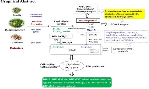 Phytochemical Profile Of Alkaloid Extract From Dendrobium Huoshanense