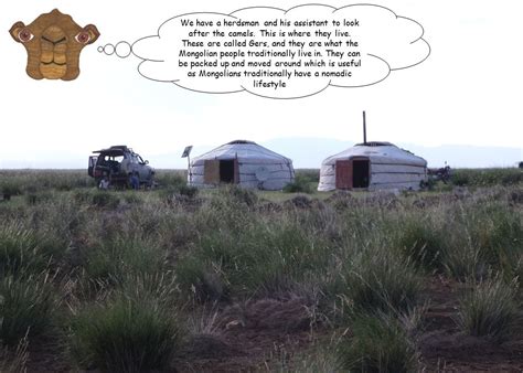 News From Dairii The Wild Camel The Wild Camel Protection Foundation